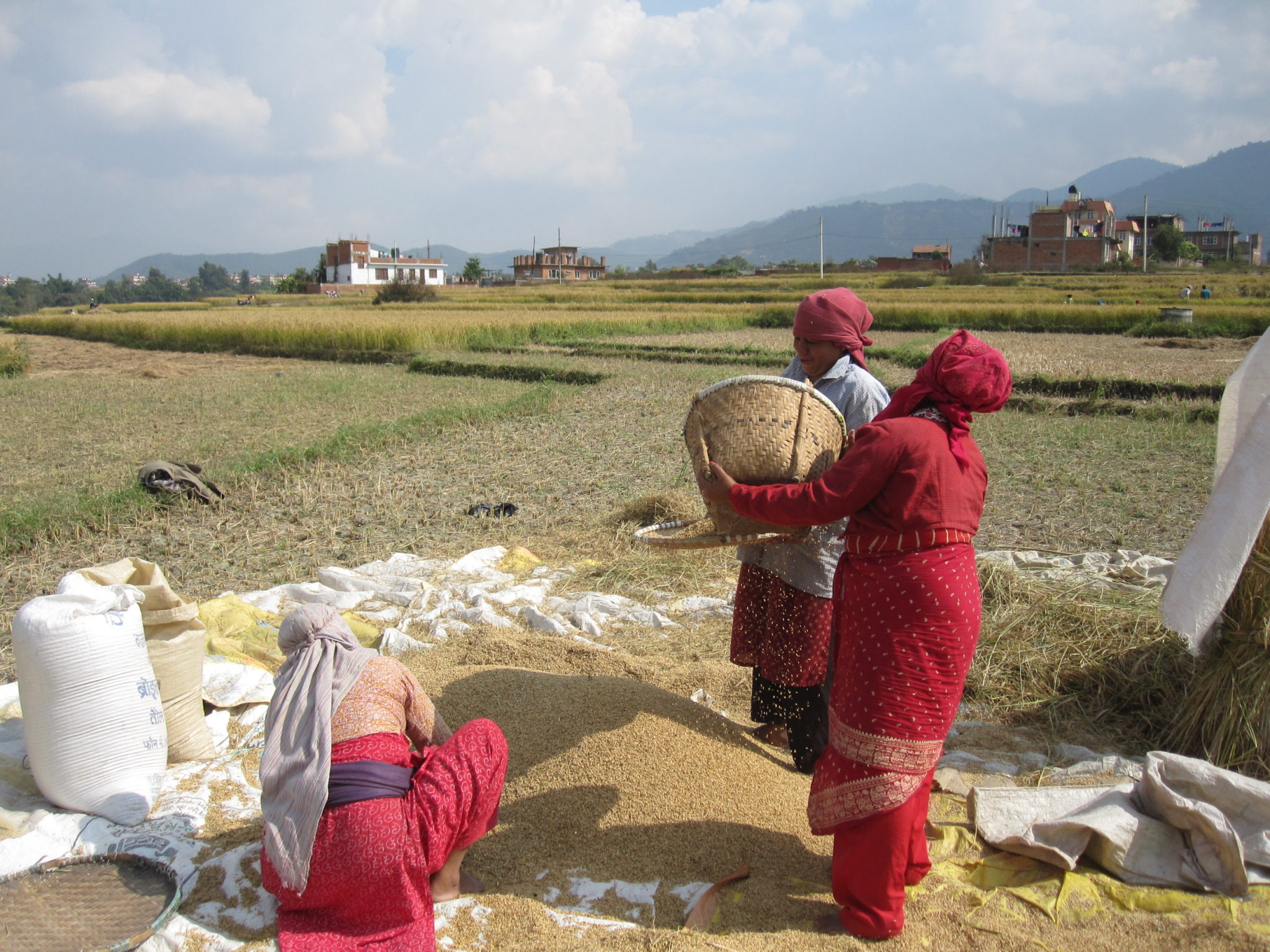 New projects coming up: Women empowerment in rural communities in Nepal ...